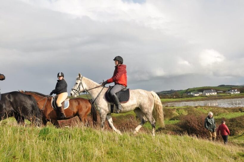 Westport: Beach and Countryside Guided Horse Ride - Why This Tour Works Well for Different Travelers