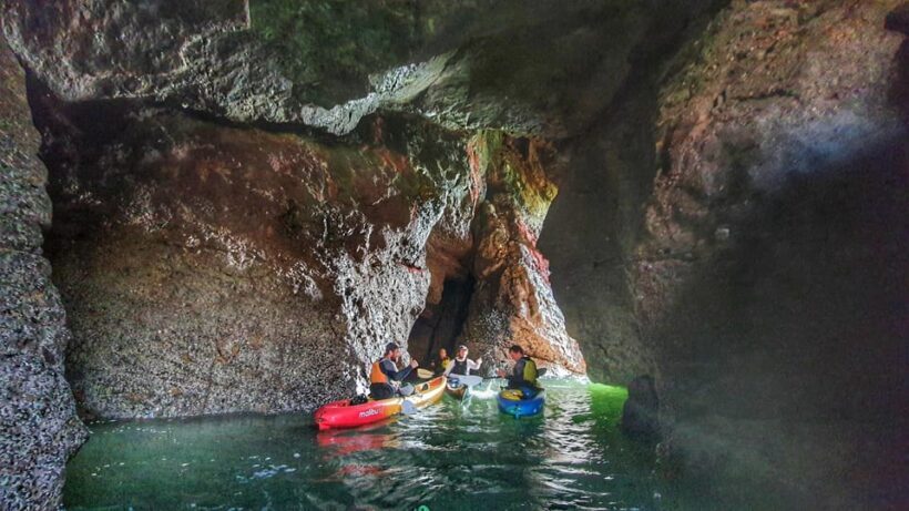 Wexford: Hell Hole & Back Sea Cave Kayaking - Key Points