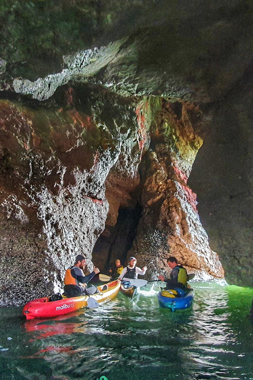 Wexford: Hell Hole & Back Sea Cave Kayaking - The Value of This Experience