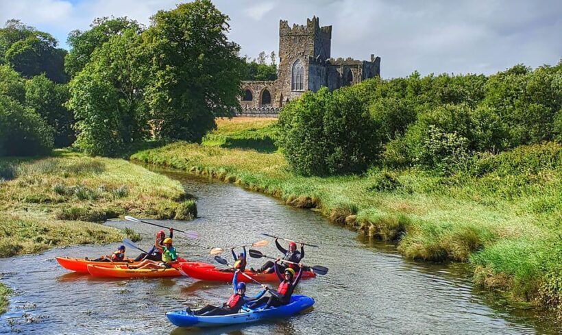 Wexford: Tintern Abbey Kayaking Experience - Wildlife and Natural Delights