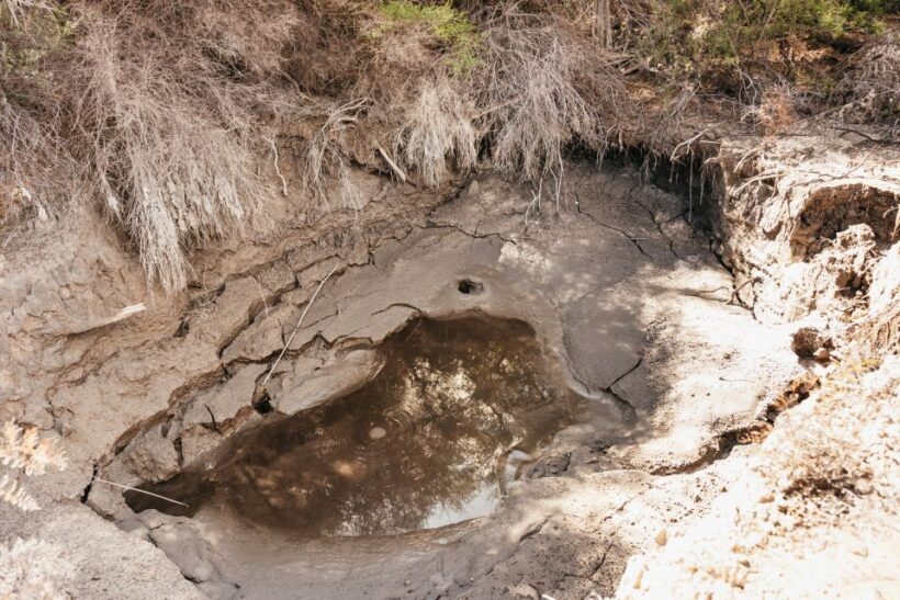 Whakarewarewa: Self-Guided Geothermal Trails - Key Points