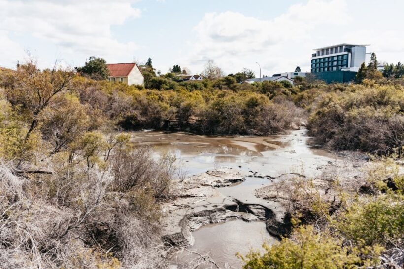 Whakarewarewa: Self-Guided Geothermal Trails - The Scenic and Geothermal Highlights