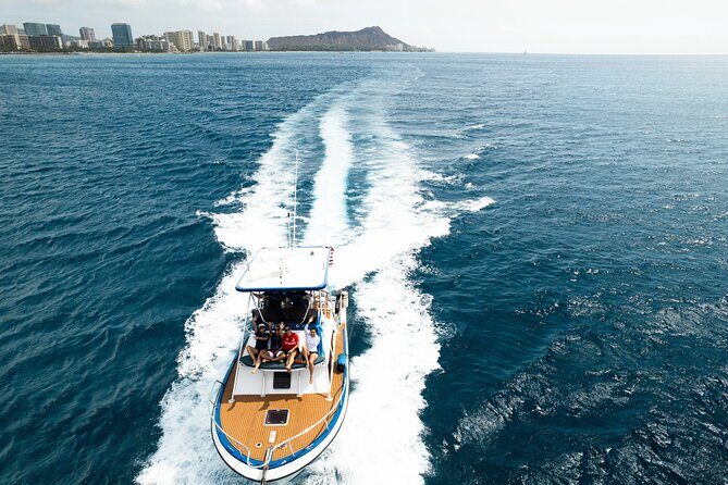 Whale and Dolphin Watch Boat Cruise in Oahu - Booking and Cancellation Policies
