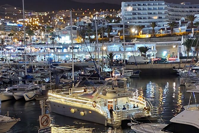 Whale and Dolphin Watching Catamaran with Transfer and Buffet - The Sum Up: Is This Tour Right for You?