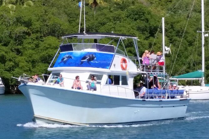 Whale and Dolphin Watching Cruise in St Lucia - What to Expect on Your St. Lucia Marine Wildlife Trip