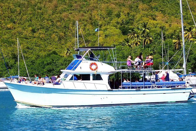 Whale and Dolphin Watching Cruise in St Lucia - Frequently Asked Questions