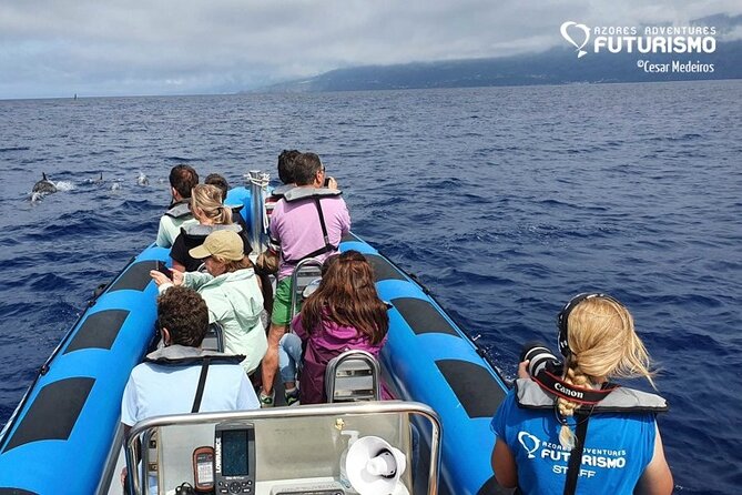 Whale and Dolphin Watching in Pico Island - Tour Details and Inclusions