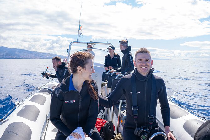 Whale and Dolphin Watching Tour - Funchal - Personalized Attention and Small Group Size