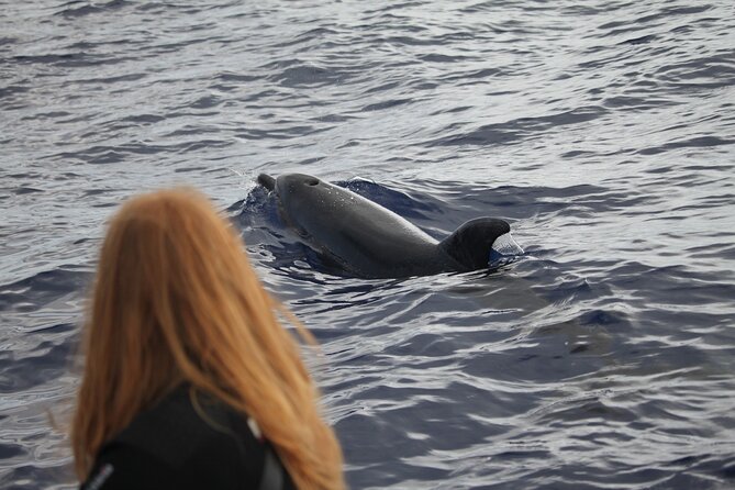 Whale and Dolphin Watching Tour - Funchal - Environmental Consciousness and Conservation Efforts