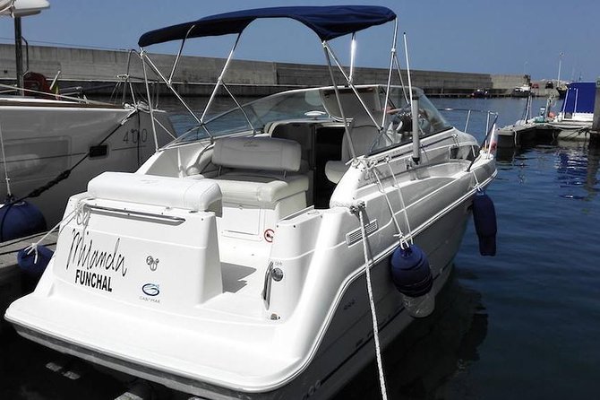 Whale and Dolphin Watching Tour in Madeira - How Value is Created