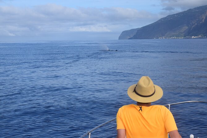 Whale and Dolphin Watching Tour in Madeira - The Sum Up