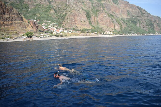 Whale and Dolphin Watching Tour in Madeira - FAQ