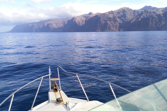 Whale and Dolphin Watching Tour Los Gigantes and Masca in Small Groups - Frequently Asked Questions