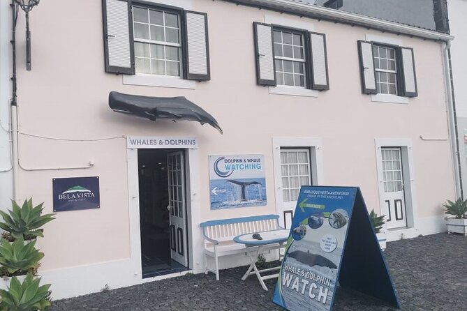 Whale and Dolphin Watching Tour on Pico Island - Meeting and Departure Details