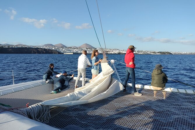 Whale & Dolphin Observation on Silent Catamaran With Hydrophone - Reviews From Previous Travelers