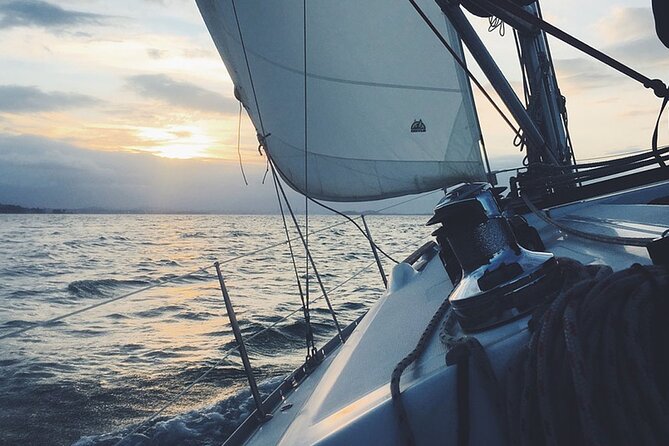 Whale & Dolphin Watching Boat Trip in Tenerife On a Sailing Boat (3 Hr) - What Makes This Tour Stand Out?