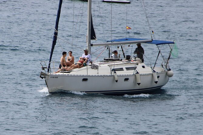 Whale & Dolphin Watching Boat Trip in Tenerife On a Sailing Boat (3 Hr) - Practical Details and Tips