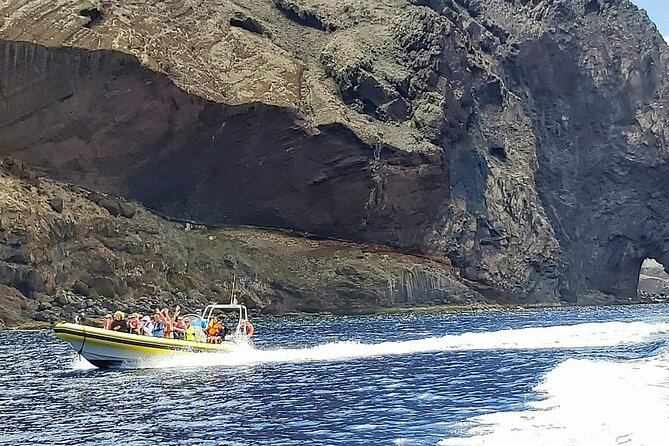 Whale & Dolphin Watching in Madeira - Recommendations for Your Adventure