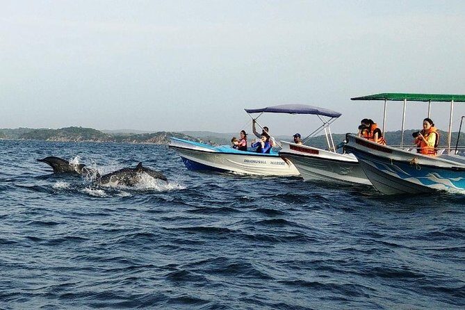 Whale & Dolphin Watching Trincomalee - The Itinerary in Detail