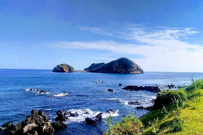 Whale & Dolphin Watching + Vila Franca Islet Full Day With Lunch - Itinerary Highlights