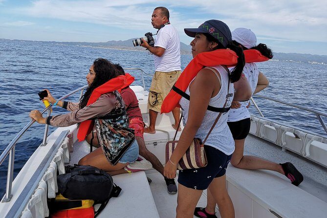 Whale Encounter Puerto Vallarta - Authentic Voices: What Travelers Say