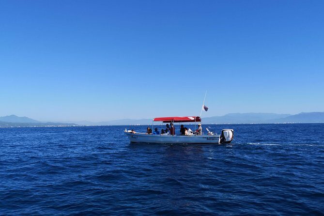 Whale Encounter Puerto Vallarta - Who Will Love This Tour?