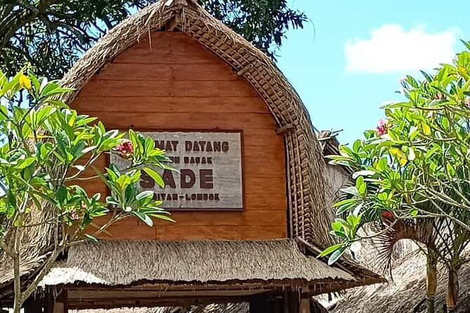 Whale Shark Adventure 2 Days 1 Night Sharing Trip - Pricing and Value