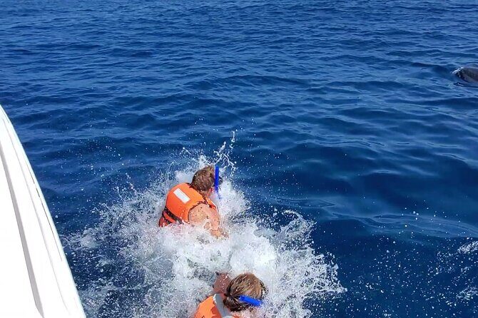 Whale Shark Adventure in Isla Mujeres and Cancun - The Sum Up