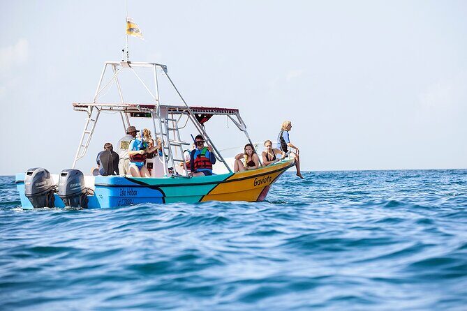 Whale Shark and Snorkeling Adventure from Isla Holbox - Frequently Asked Questions