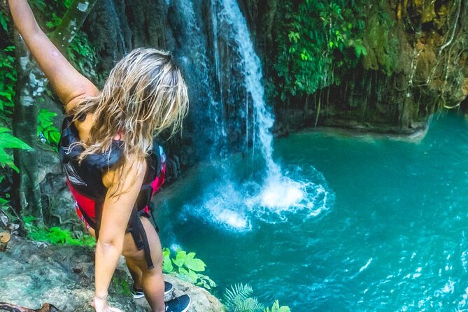 Whale Shark, Canyoneering, Sardines Run and Turtles with Transpo - What Do the Reviews Say?