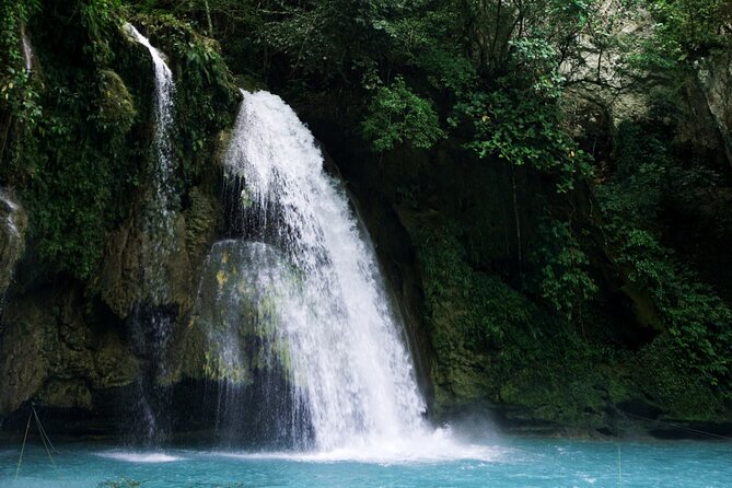 Whale Shark, Canyoneering, Sardines Run and Turtles with Transpo - Practical Tips for Your Trip