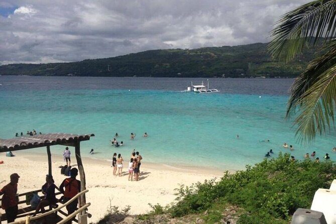 Whale Shark Encounter and Sumilon Sandbar with Kawasan Falls - Transportation, Timing, and Logistics
