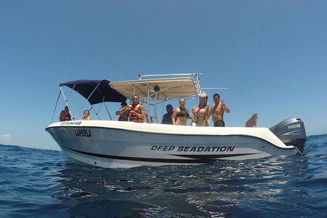 Whale Shark Experience from Playa del Carmen - The Sum Up