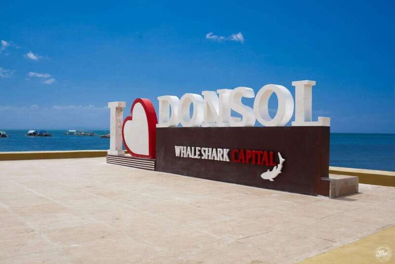 Whale Shark Interaction at Donsol Sorsogon by ZCHEDULISTA - What You Can Expect From the Tour
