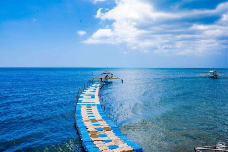 Whale Shark Interaction at Donsol Sorsogon by ZCHEDULISTA - Deep Dive into the Itinerary