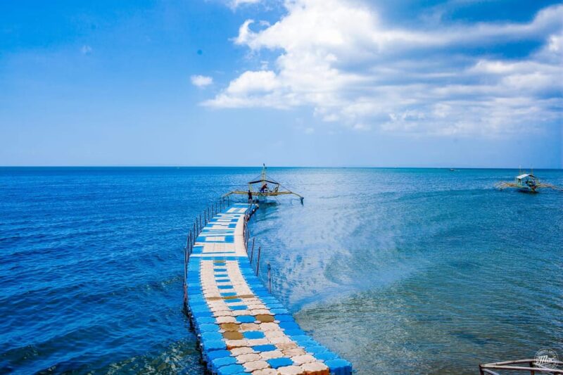 Whale Shark Interaction at Donsol Sorsogon by ZCHEDULISTA - What’s Included & What’s Not