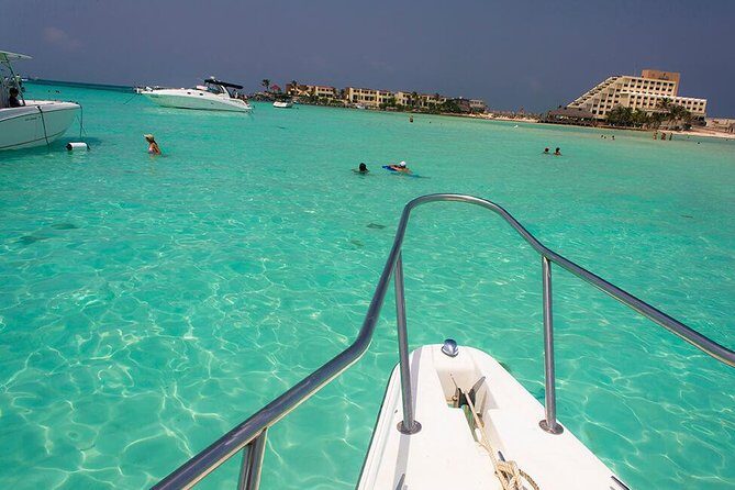 Whale Shark Snorkel Tour in Cancun (Snack Lunch included) - The Sum Up
