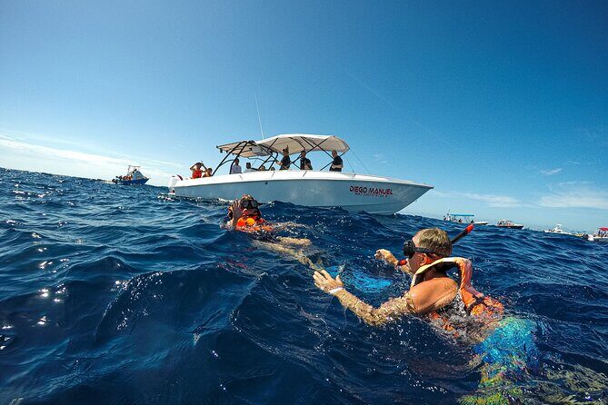 Whale Shark Snorkeling Adventure with Lunch - Cost and Value Analysis