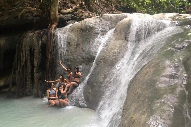 Whale Shark Swimming Experience and Aguinid Falls from Cebu - An In-Depth Look at the Tour Itinerary