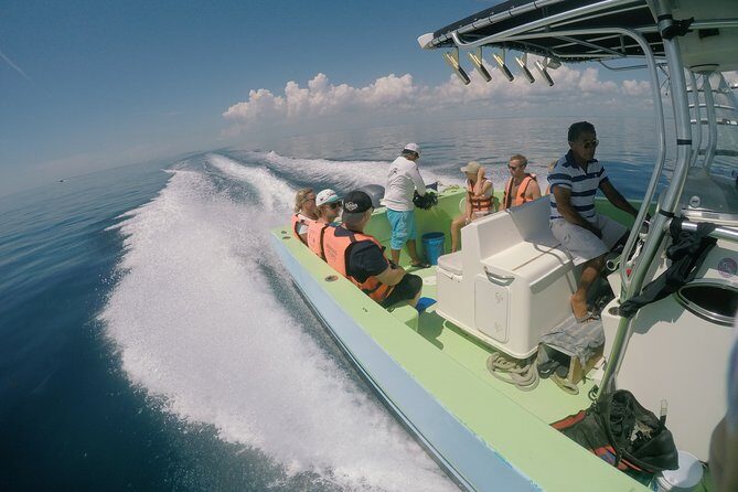 Whale Shark Tour from Cancun, Playa del Carmen, Tulum and Riviera Maya - Lunch and Beach Relaxation at Playa Norte