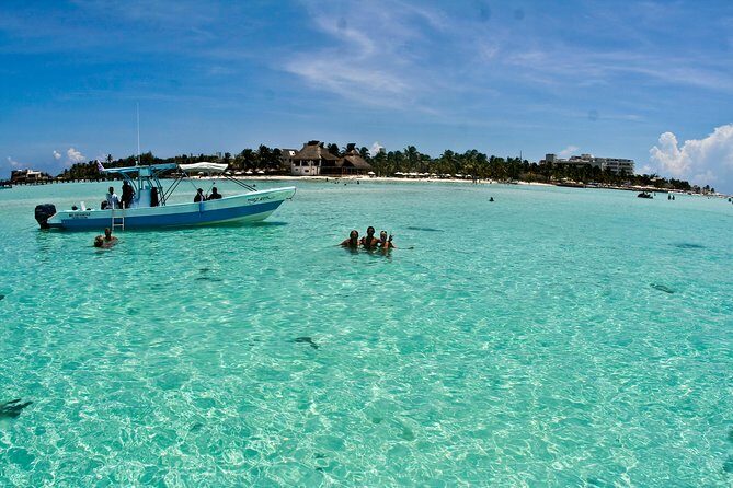 Whale Shark Tour from Cancun, Playa del Carmen, Tulum and Riviera Maya - Duration and Overall Value