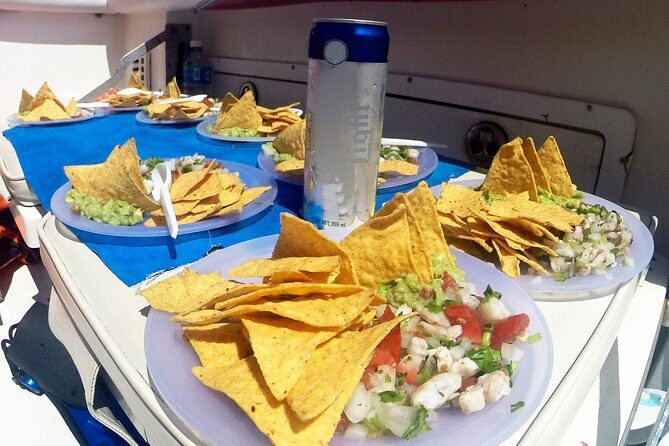 Whale Shark Tour from Cancun, Playa del Carmen, Tulum and Riviera Maya - The Review Highlights
