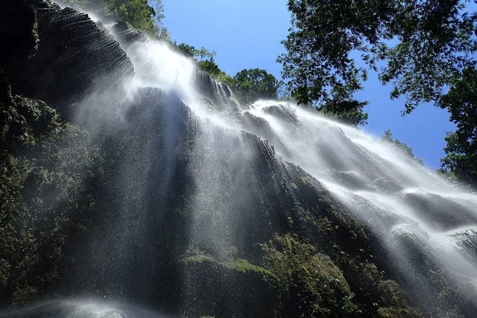 Whale Shark & Tumalog Falls & Sumilon Sandbar & Pescador Island with Sardines - What’s Included and What’s Not