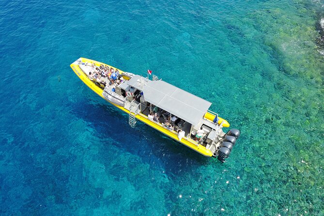 Whale Watch Adventure Aboard Mauis Only Luxury Super Raft - Maalaea Harbor Departure and Onboard Hydrophones