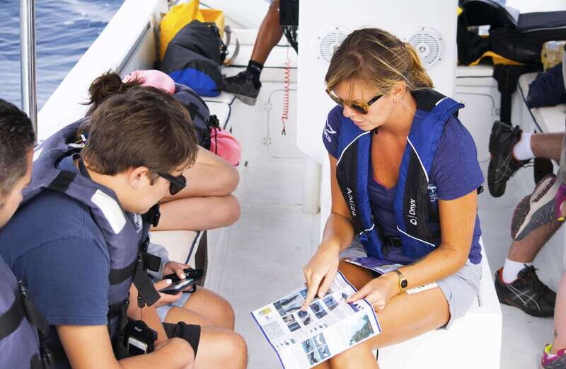 Whale Watch Cabo: Zodiac Whale Adventure - FREE Photos - Introduction