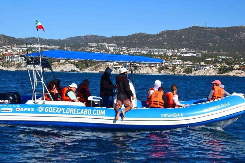 Whale Watch Cabo: Zodiac Whale Adventure - FREE Photos - Authentic Touches from Reviews