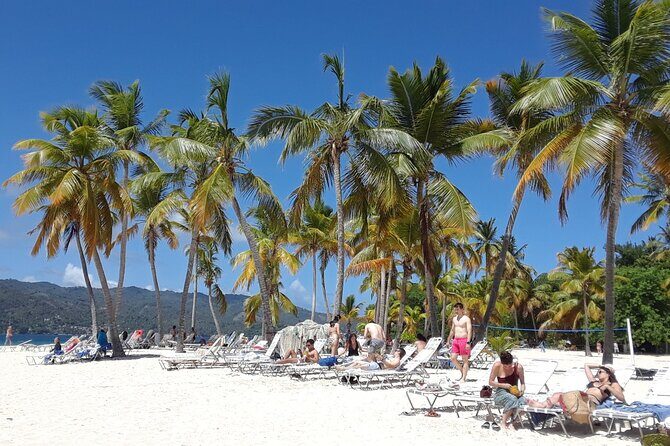 Whale Watching 2026 from Punta Cana - Full Day - Return to Punta Cana