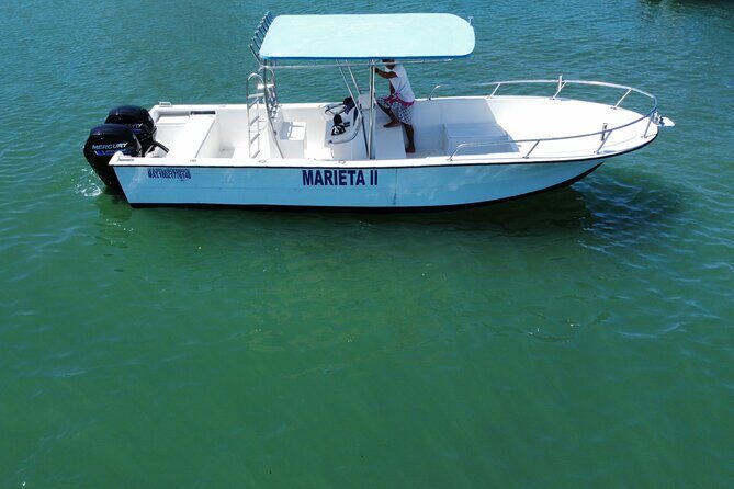 Whale watching - Final Thoughts: Who Should Book This Tour?