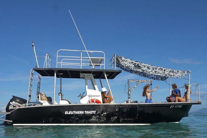 Whale Watching Activity - Practical Tips for Travelers