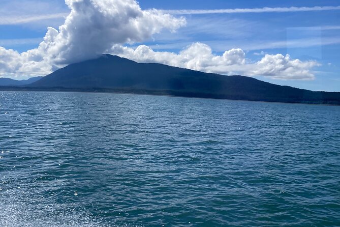 Whale Watching Adventure in Juneau - Customer Experiences and Feedback